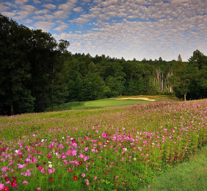 Golf Courses – Fairfield Glade Homes